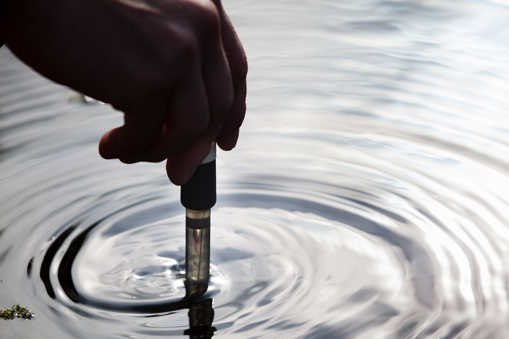 New App Empowers Community Water Monitors - Chesapeake Conservancy